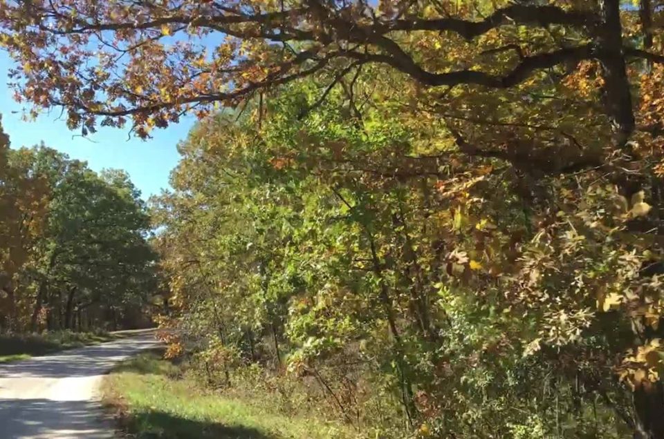 Iowa State Parks Campgrounds | Pet Friendly Travel