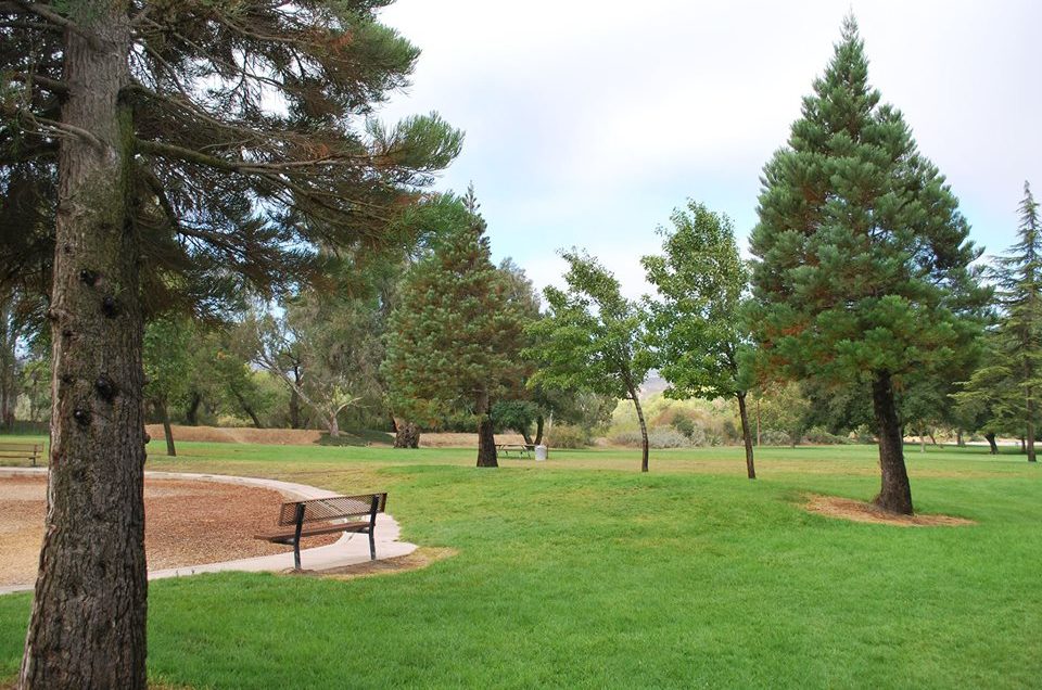 Monterey County Parks | Pet Friendly Travel