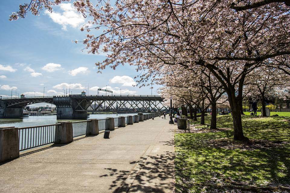 Portland: Best of Portland Walking Tour | Pet Friendly Travel